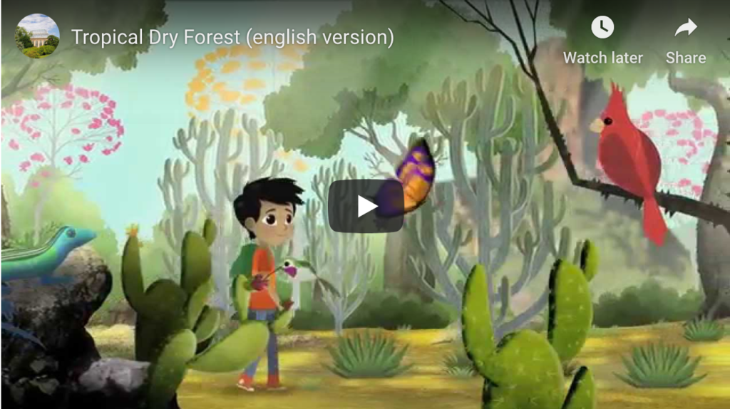 The importance of tropical dry forests > BioResilience – Colombia