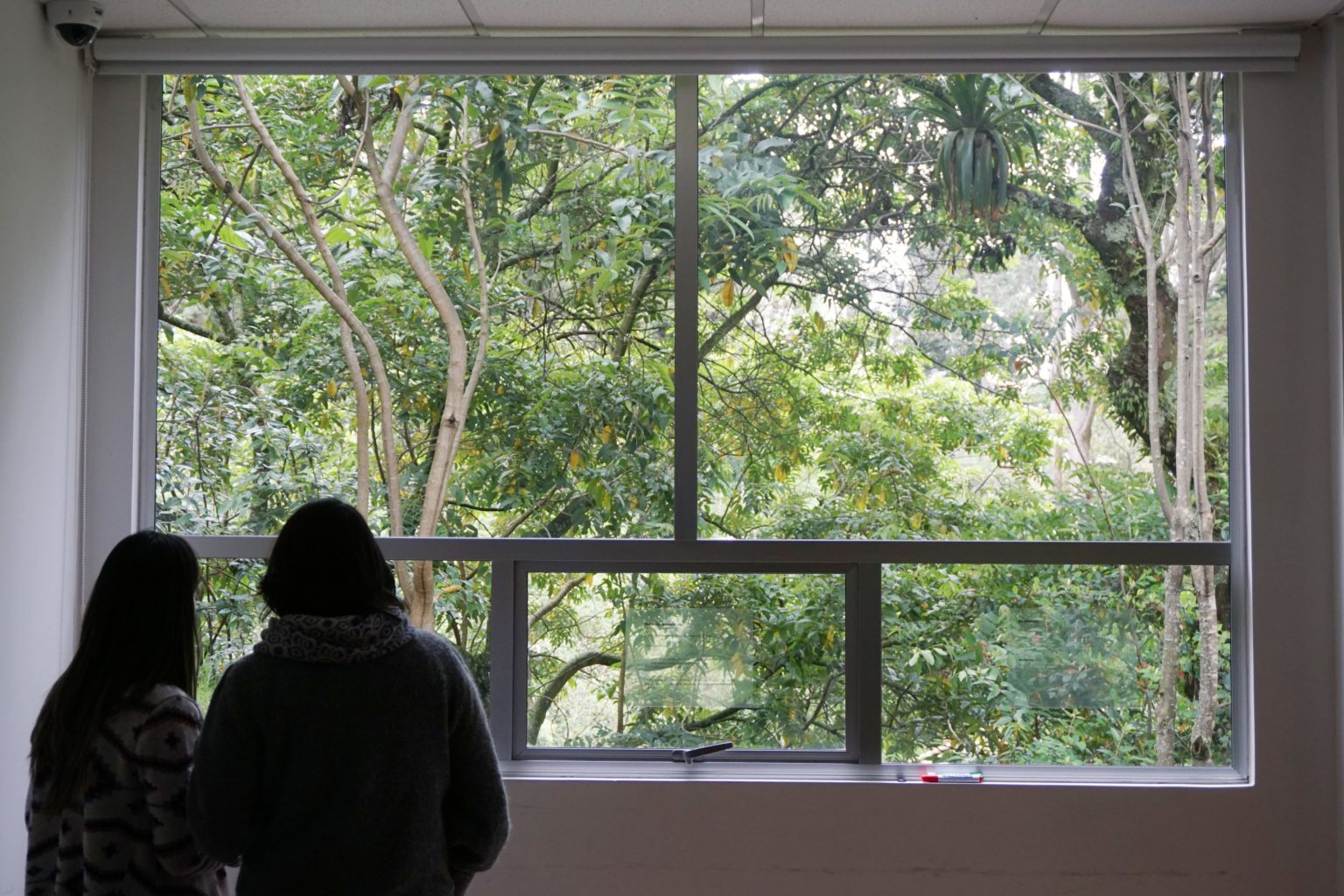 Resilience workshop > BioResilience – Colombia