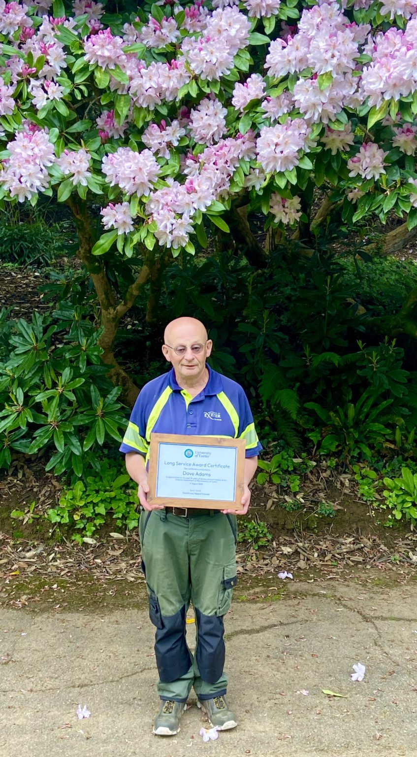 Congratulations and Thank You! - Budding news