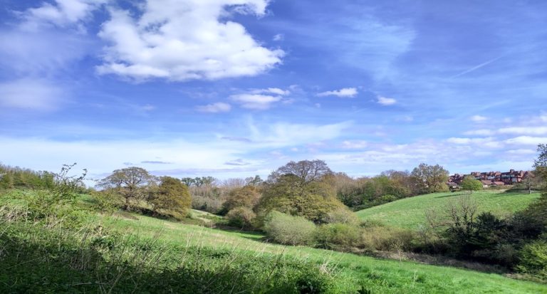 The Friends of Hoopern Valley - AGM 20th November 2024 - Budding news