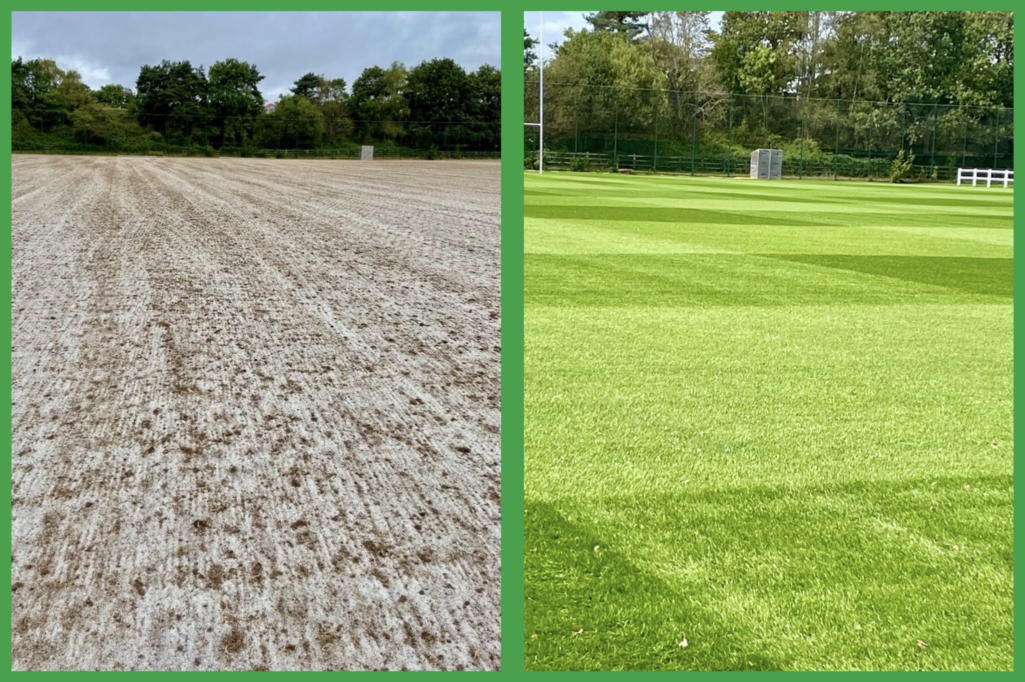 Rugby Pitch Transformation - Budding news