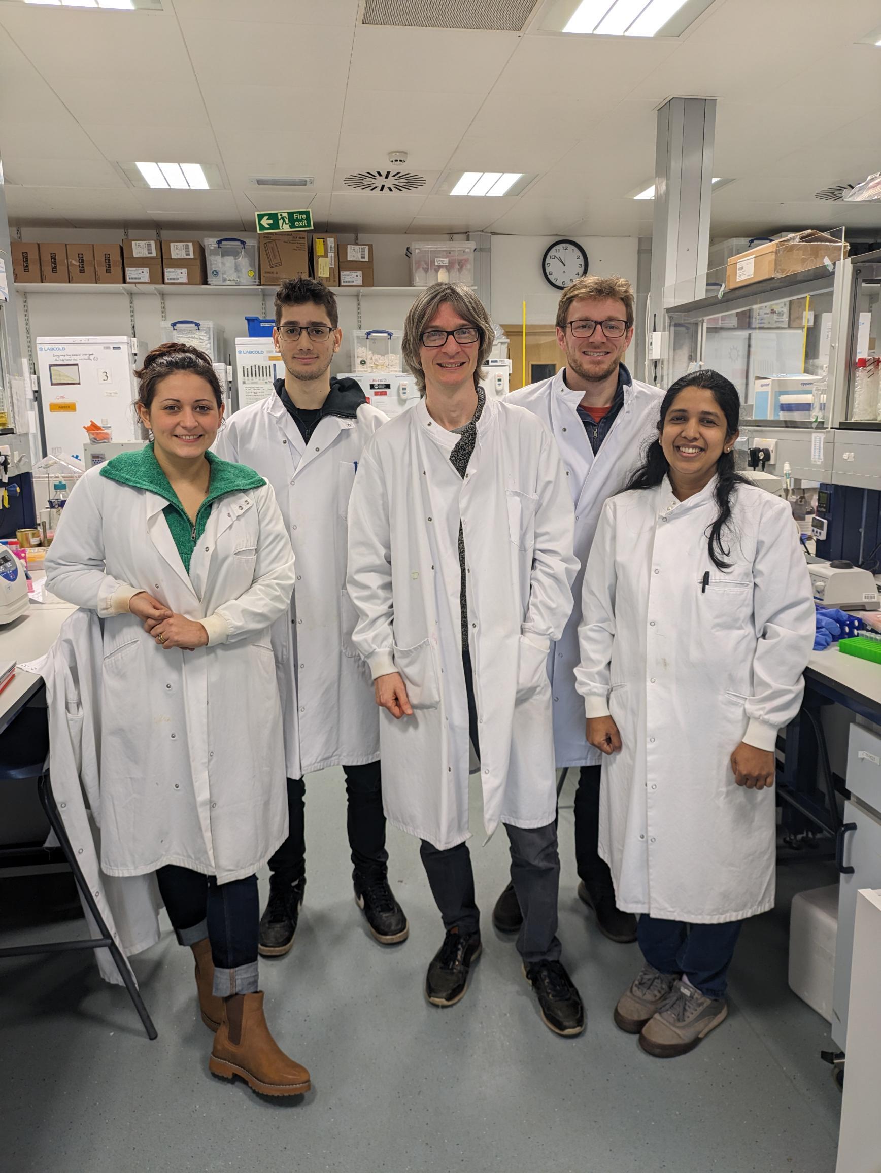 Costello Lab > Costello Lab