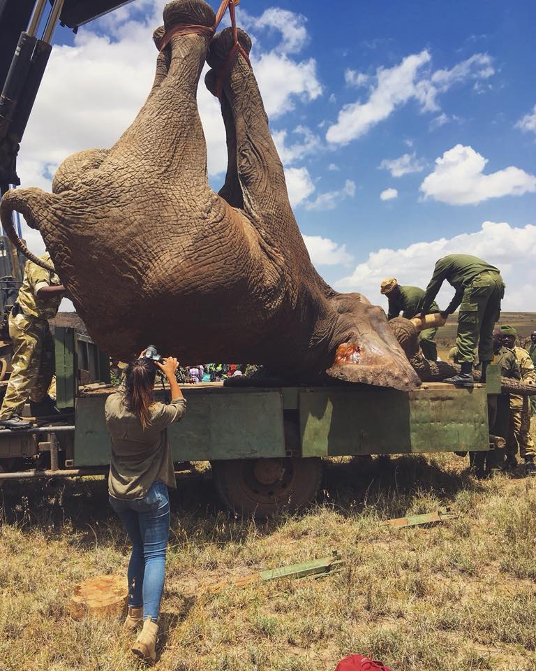 Scientists at Sea Podcast - Seals and Salmon Farms, with Lizzie Daly ...