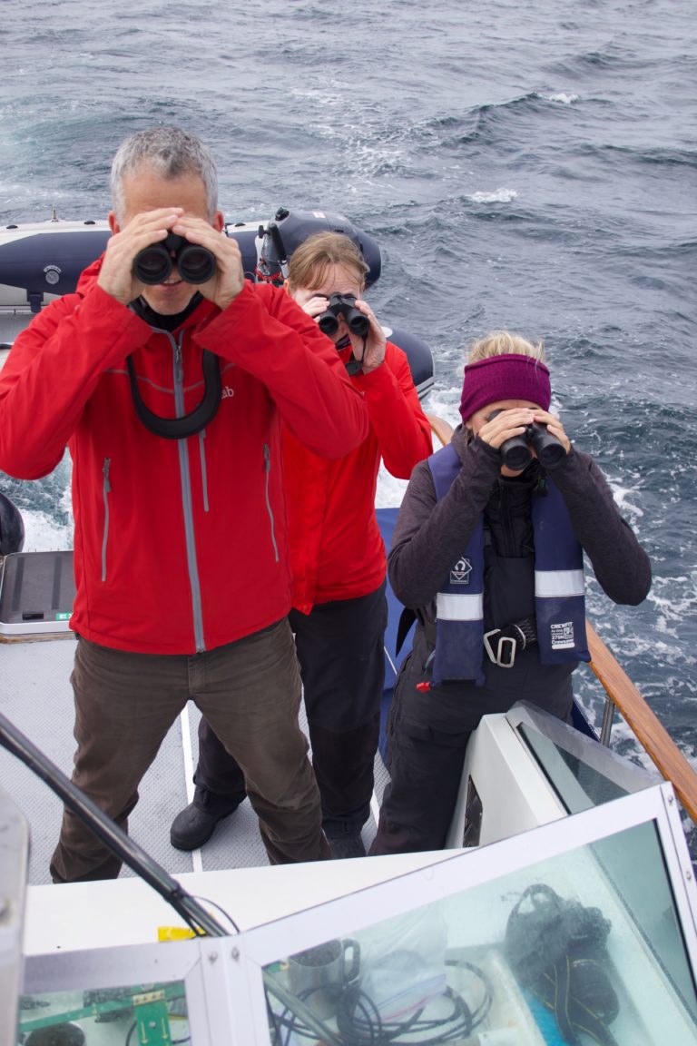 Exeter Marine Podcast - Arctic Terns, Basking Sharks; Bluefin Tuna ...