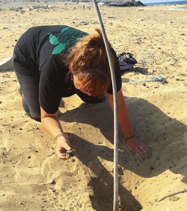 MSc Graduate in Focus: Sian Woollard - Exeter Marine
