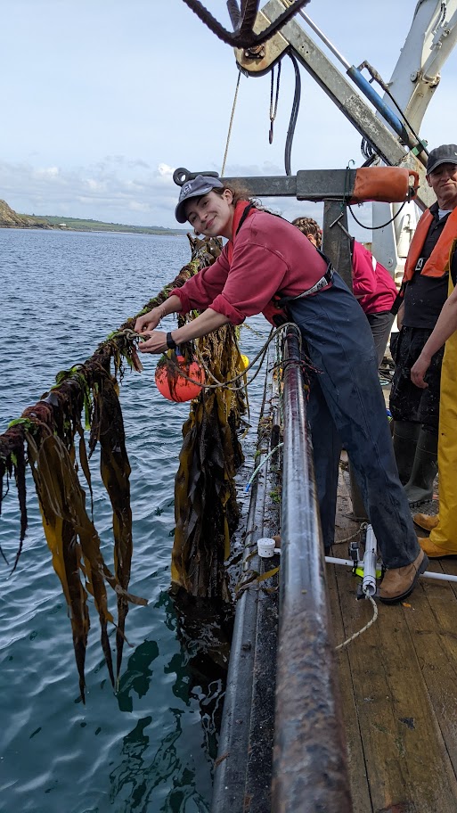 Research Insights: Sophie Corrigan – Seaweed farming in the Southwest ...
