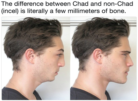 Incel culture: How a neo-masculinity challenges traditional notions of ...