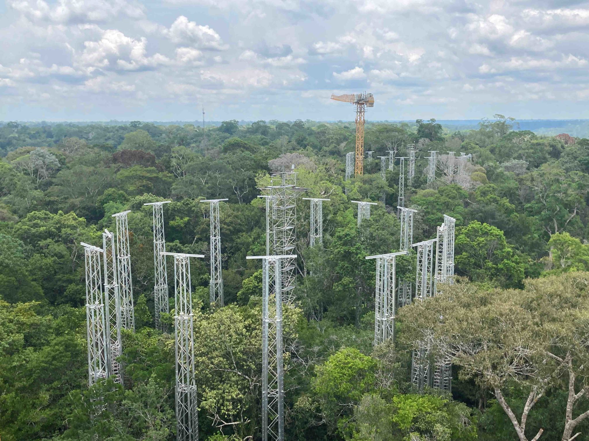 Seeing the future of the Amazon now - GSI Blog - Creating ...