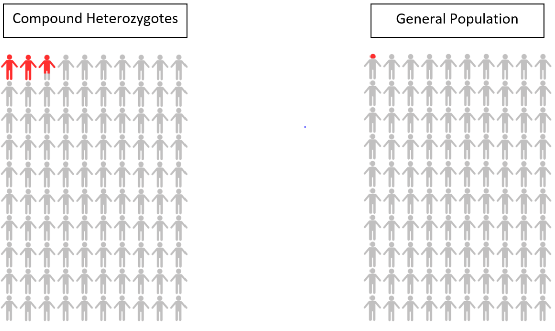 C282Y-H63D compound heterozygotes > Haemochromatosis: genetic iron ...