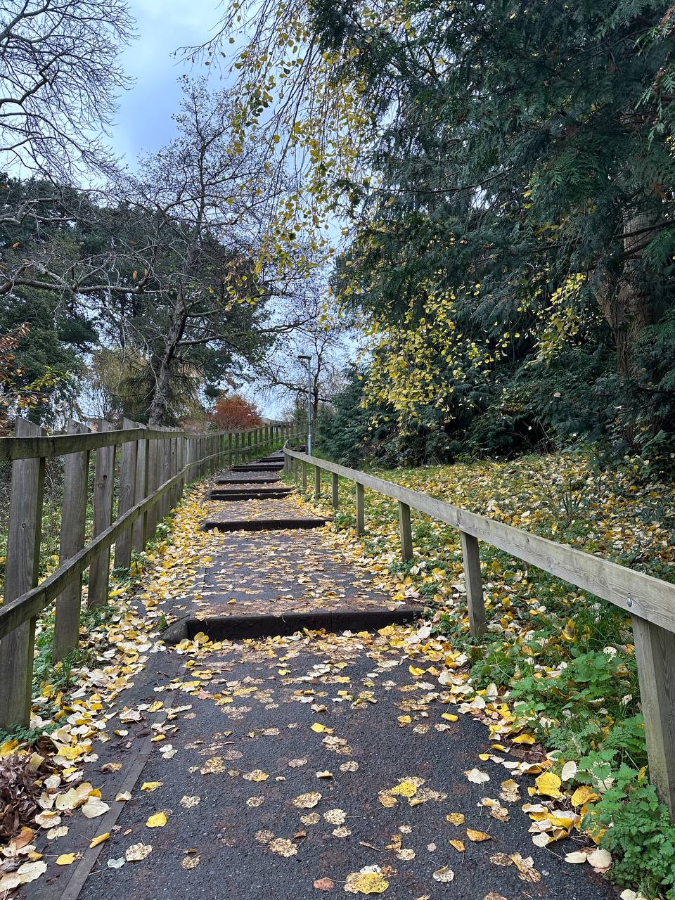 Embracing life at the University of Exeter as an International student ...