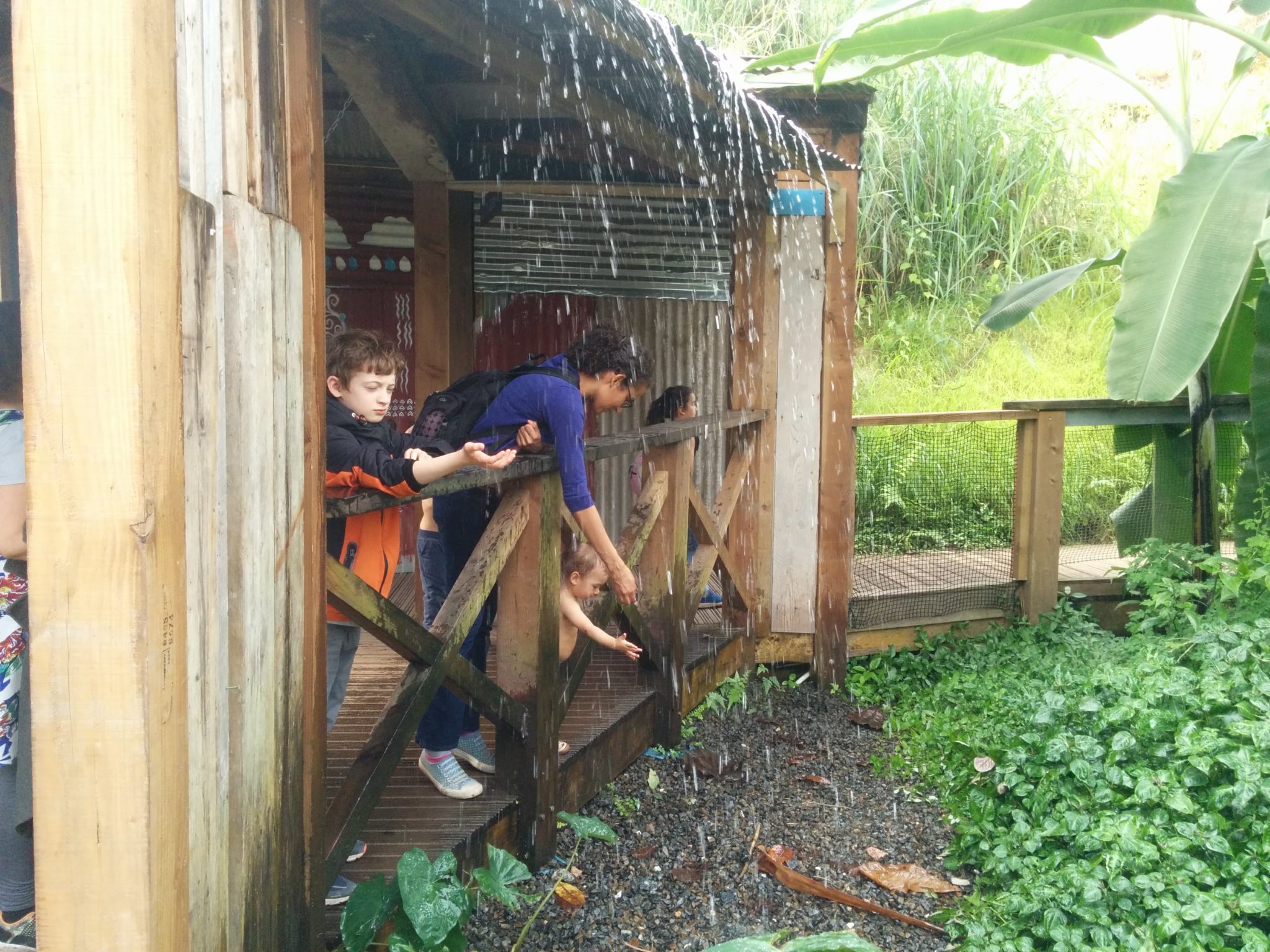 Tropical rainstorms and a wobbly rope bridge in the cloudy treetops at ...