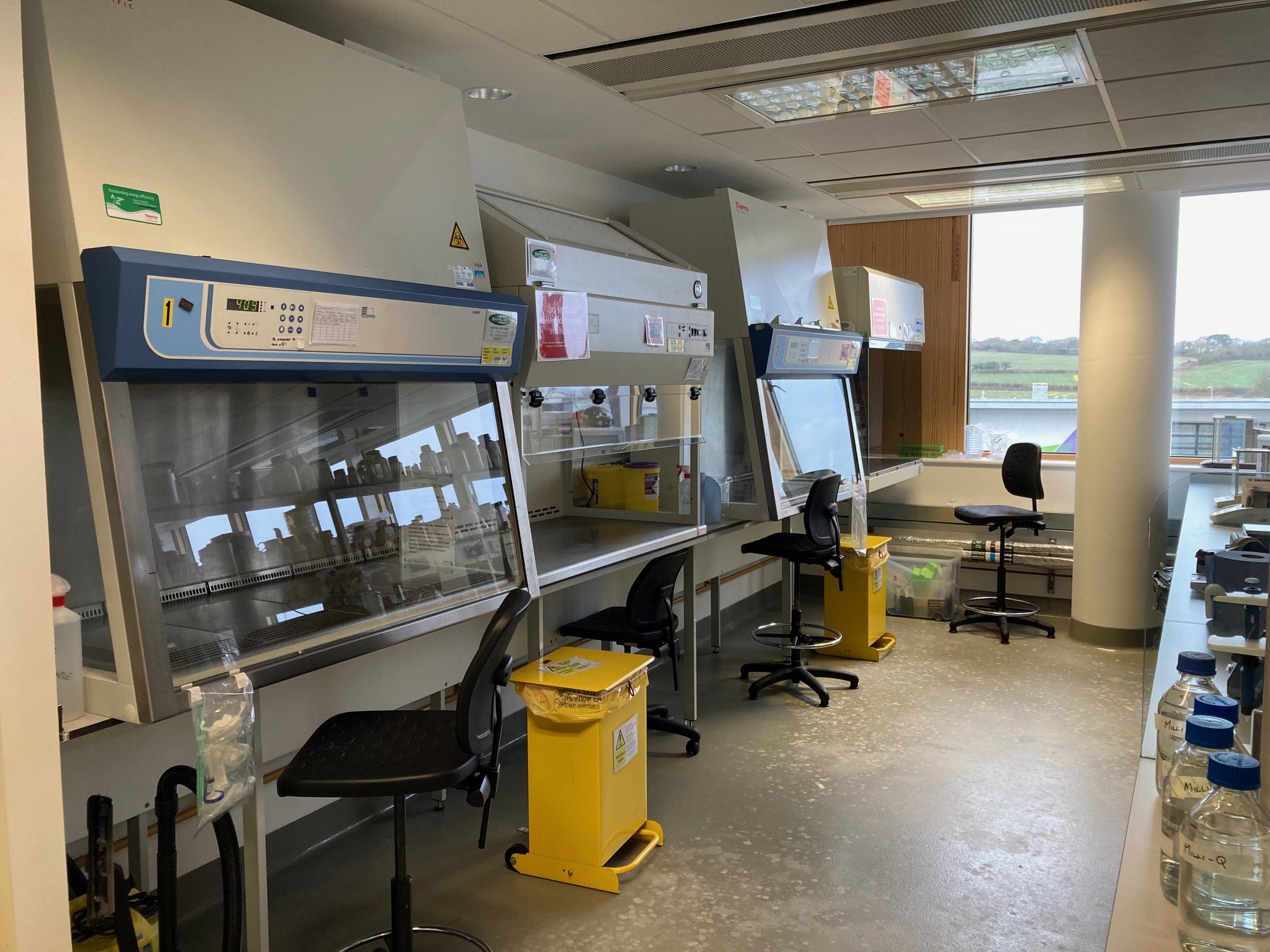 Key Publications > Van Houte Lab