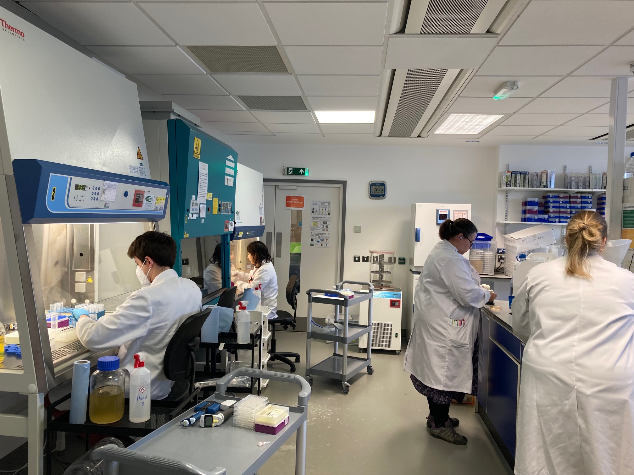 Key Publications > Van Houte Lab