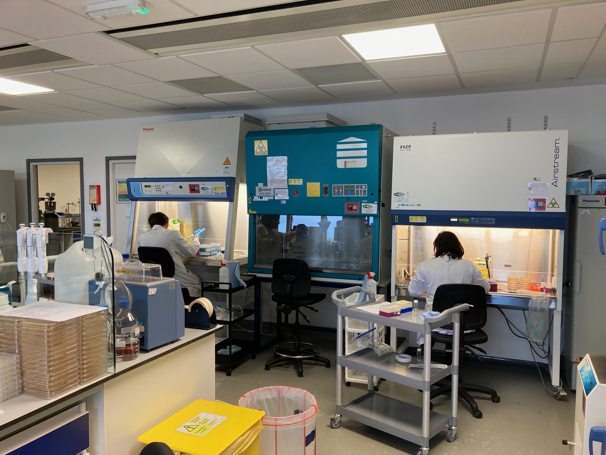 Key Publications > Van Houte Lab