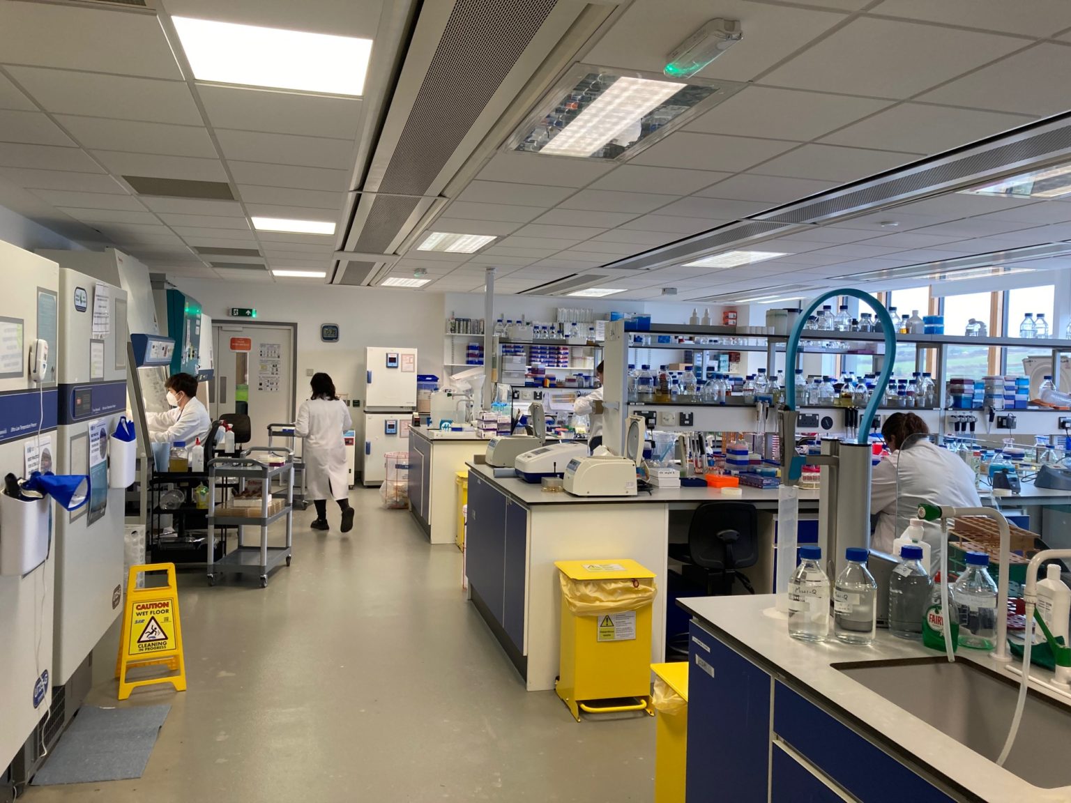 Key Publications > Van Houte Lab