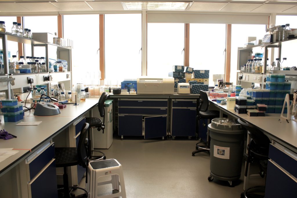 Research > Westra Lab