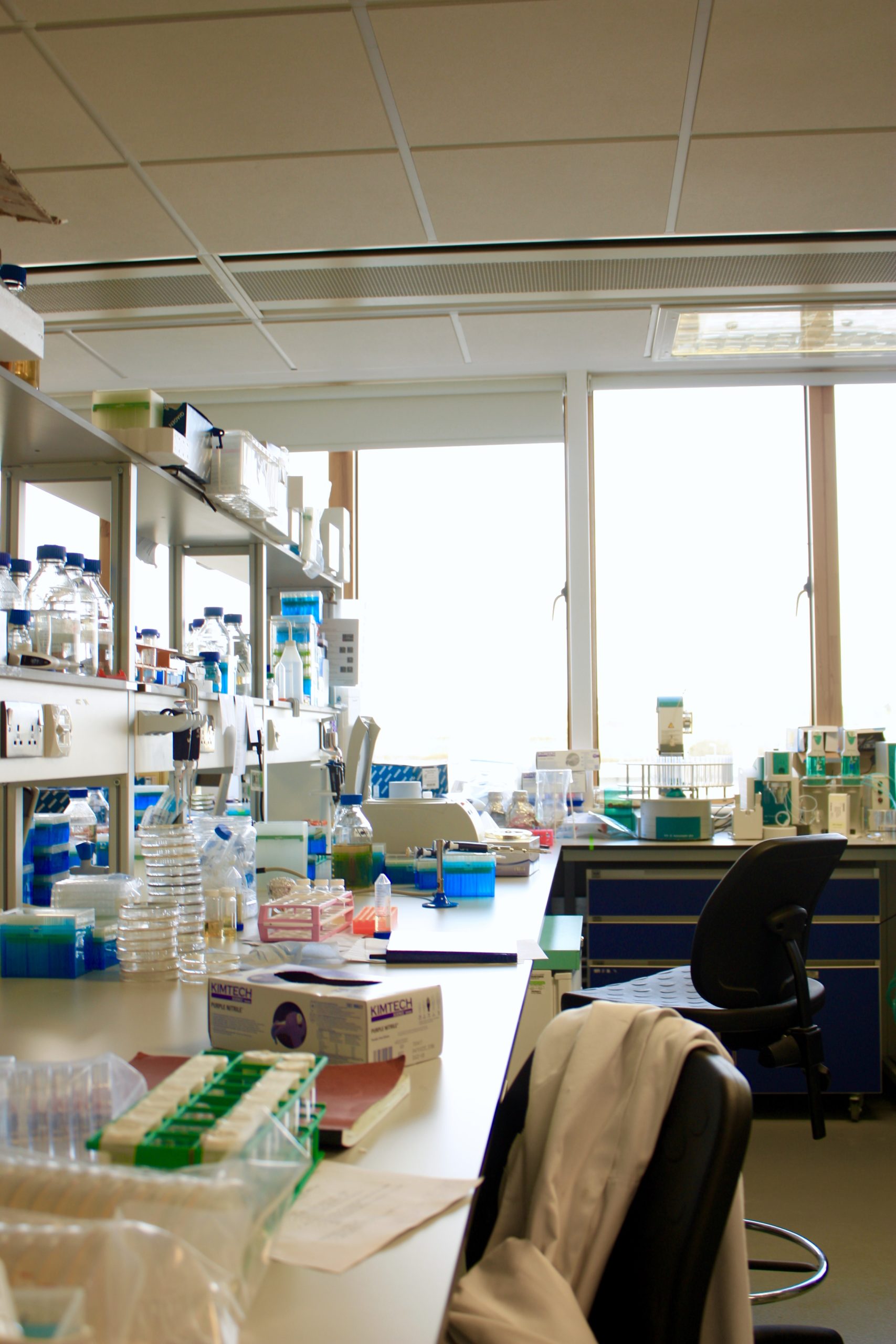 Key Publications > Westra Lab