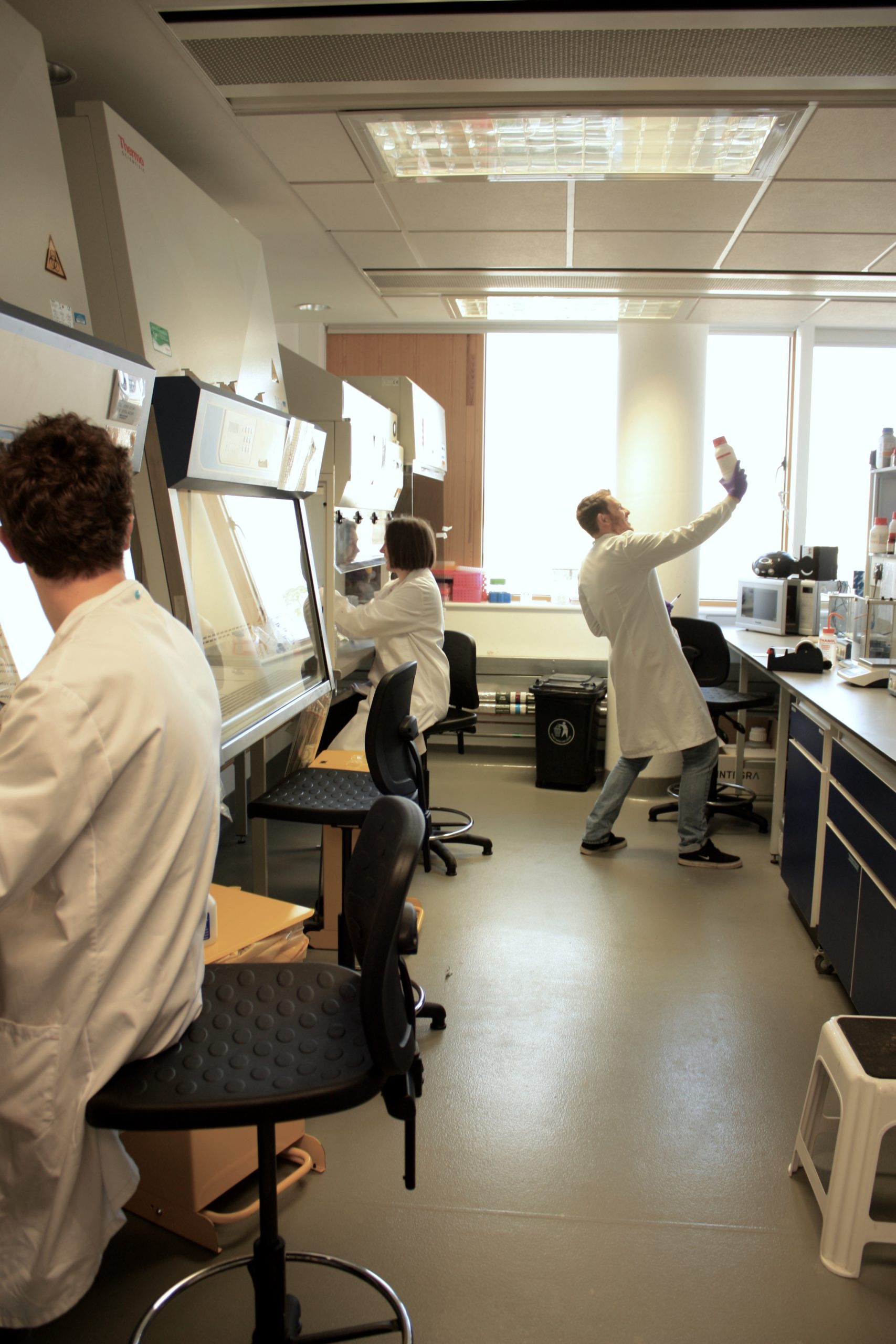 Key Publications > Westra Lab