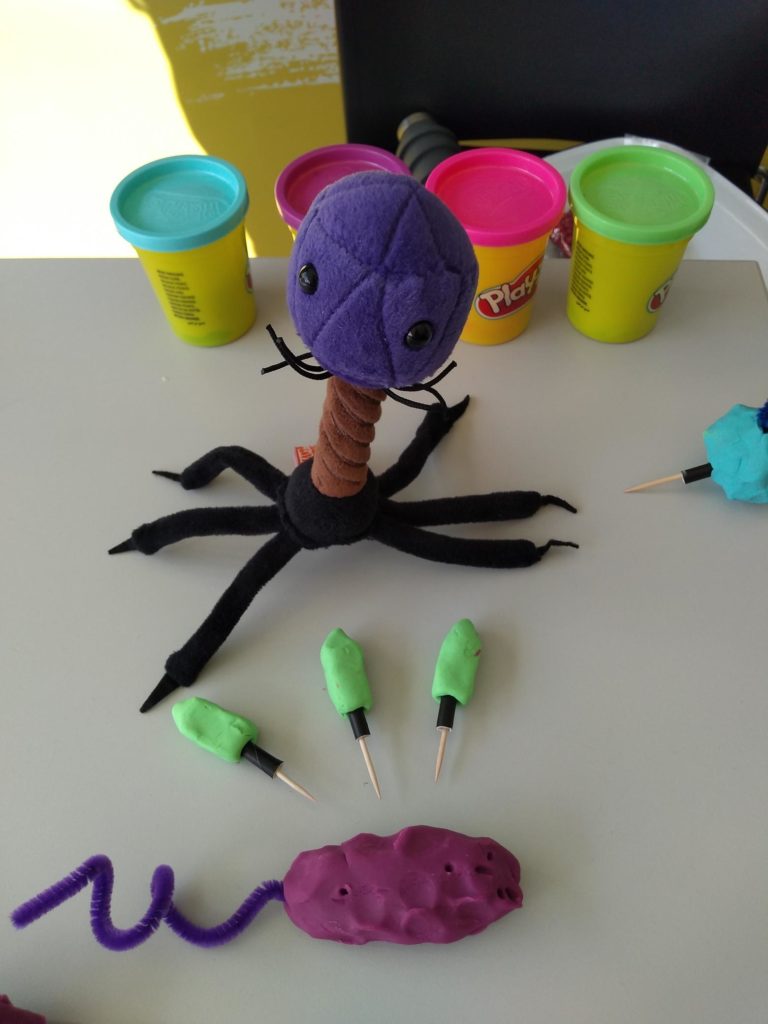 Royal Cornwall Show > Westra Lab